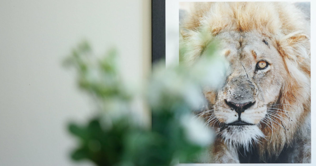 2019 – RJ Management